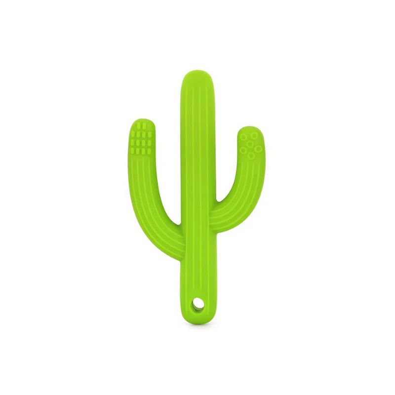 Cactus Toothbrush Teether Necklace Teething Tool | Pencil Grips Plus